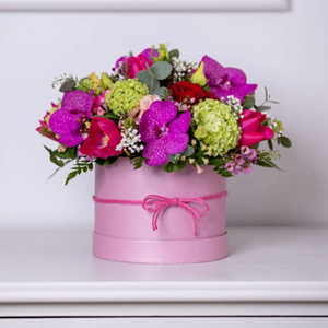 Hat Boxes